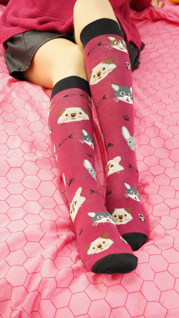 Women's Cute Cats Knee High Socks - Socks n Socks